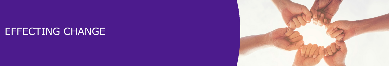 Effecting Change - Ontario Society of Senior Citizens Organizations